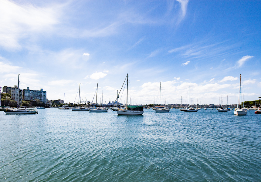 Now Open: The Navy Bear, a New Boatshed Cafe Smack Bang on the ...