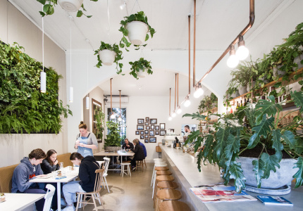 Best Cafes in Hawthorn