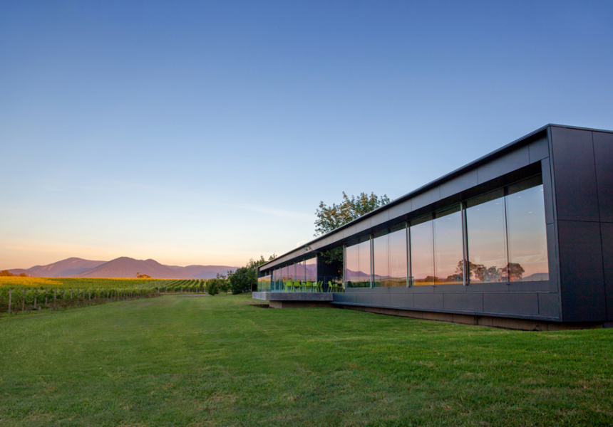 The Winery Making Citrusy Chardonnay in Coldstream