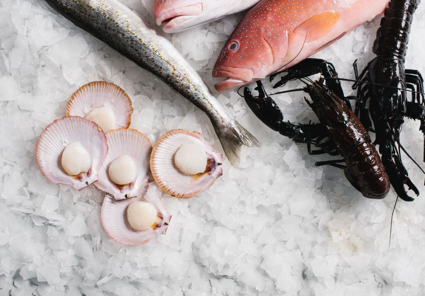 Sydney’s First Ferry Headed for the Fish Market