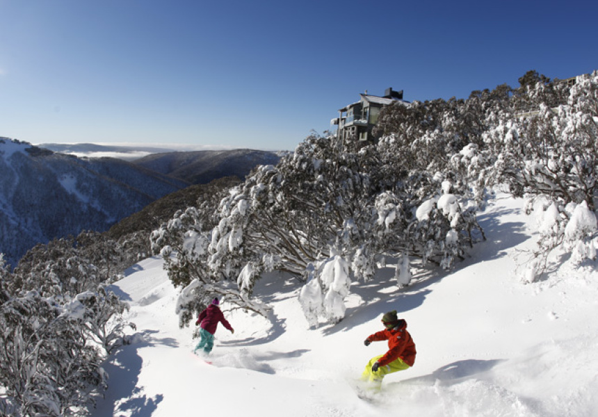 Out of Towner – At the Foot of the Snowfields in Bright | Broadsheet