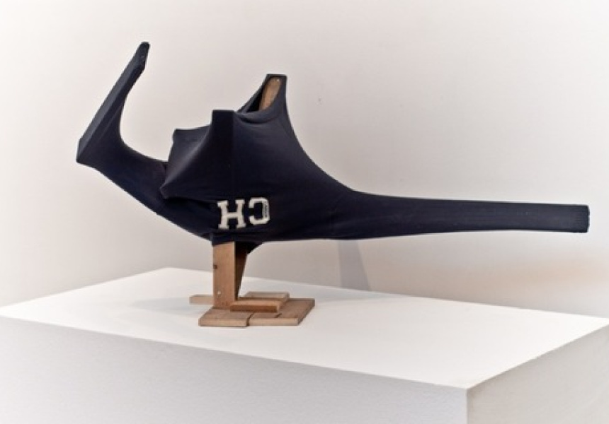 Erwin Wurm: Crap Head Exhibition