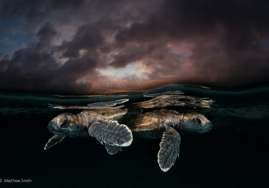 Australian Geographic Nature Photographer of the Year Exhibition Opens ...