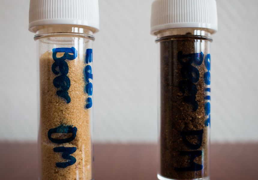 Instant Beer is Real