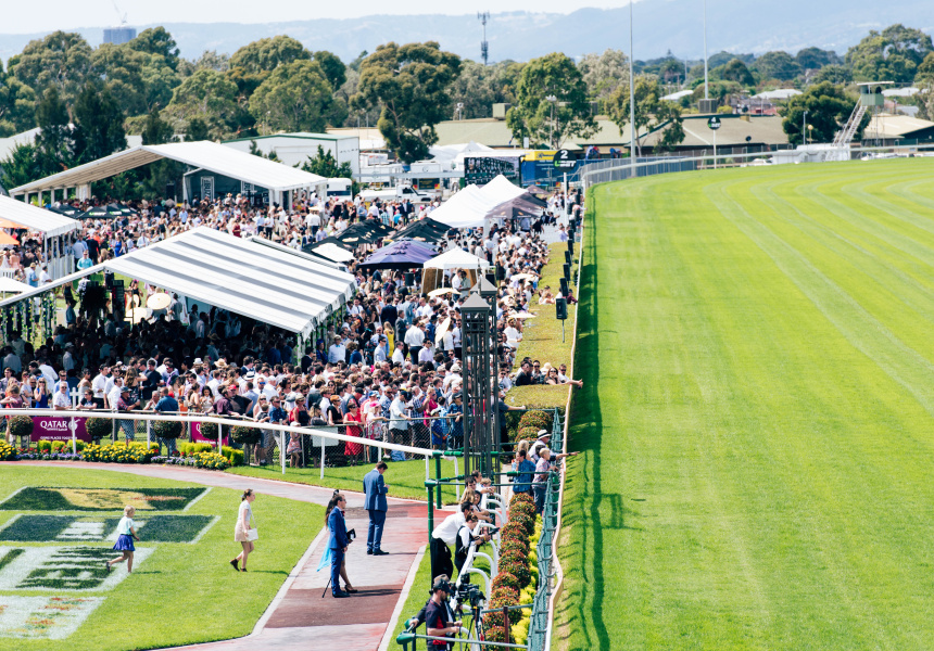 Adelaide Cup Day 2018