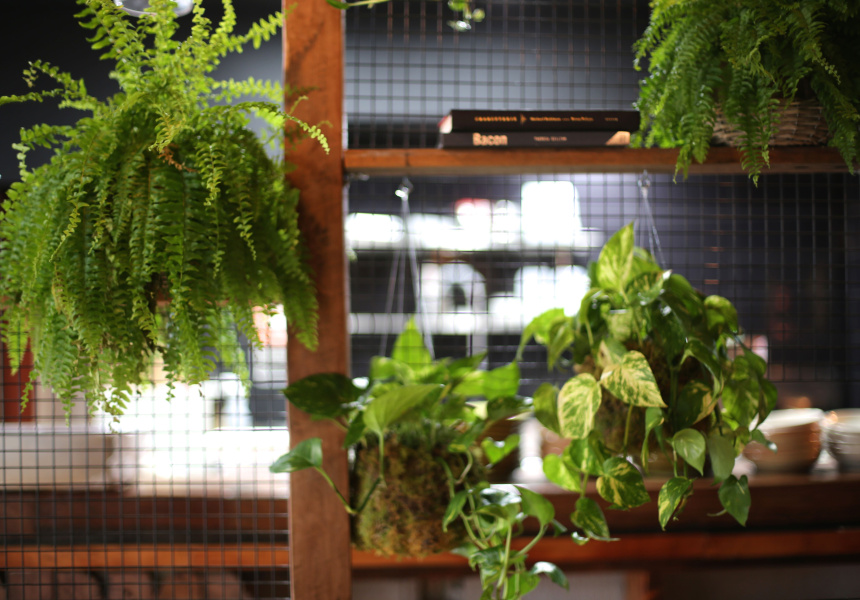 A Modern Menu at Boscage | Broadsheet
