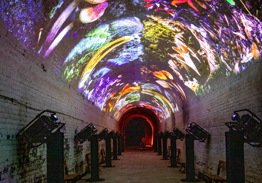 Eight To See: Shows To See at Adelaide Fringe Festival 2025