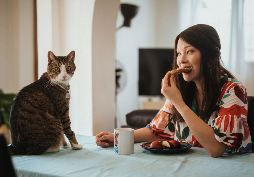 Michelle Law on Her Tabby Cat, Evening Routines and Feline Muses