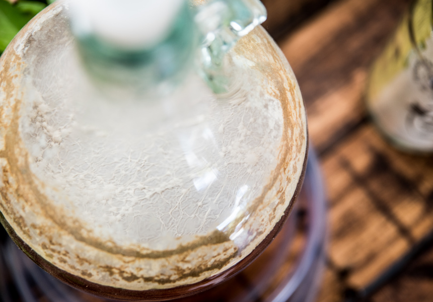 What You Need to Know Before Brewing Your Own Beer | Broadsheet ...