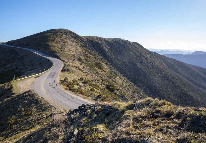 Five Ways To Get Active on and Around Mount Hotham in Summer