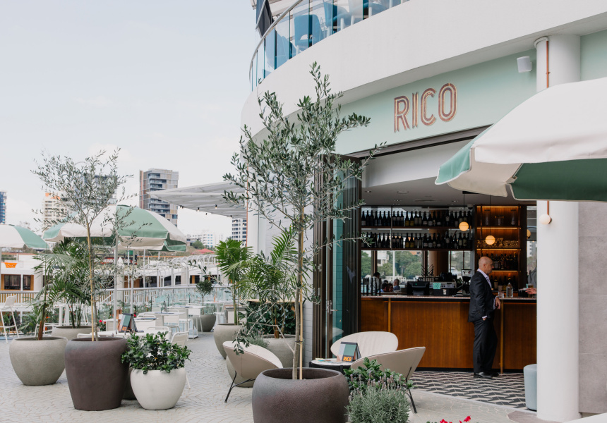 Limited Edition Lunch Specials