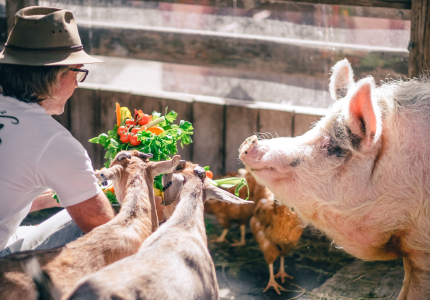 Kevin Bacon Retirement | Alexandria | Sydney | Broadsheet