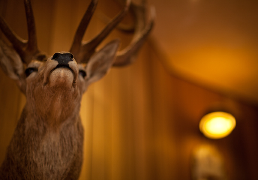 Taming the Bearded Beast | Broadsheet