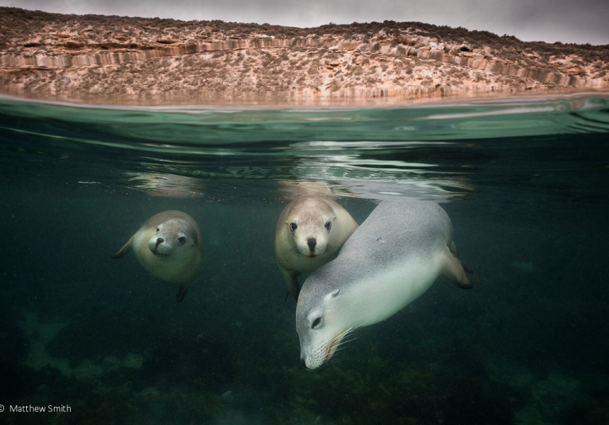 Australian Geographic Nature Photographer of the Year Exhibition Opens ...