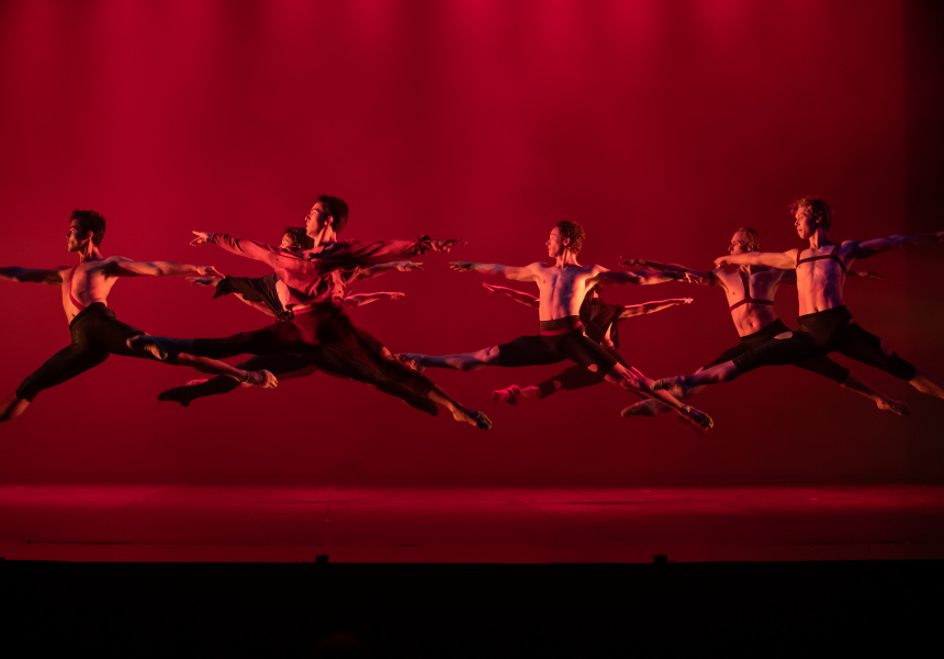 Queensland Ballet on the Lawn