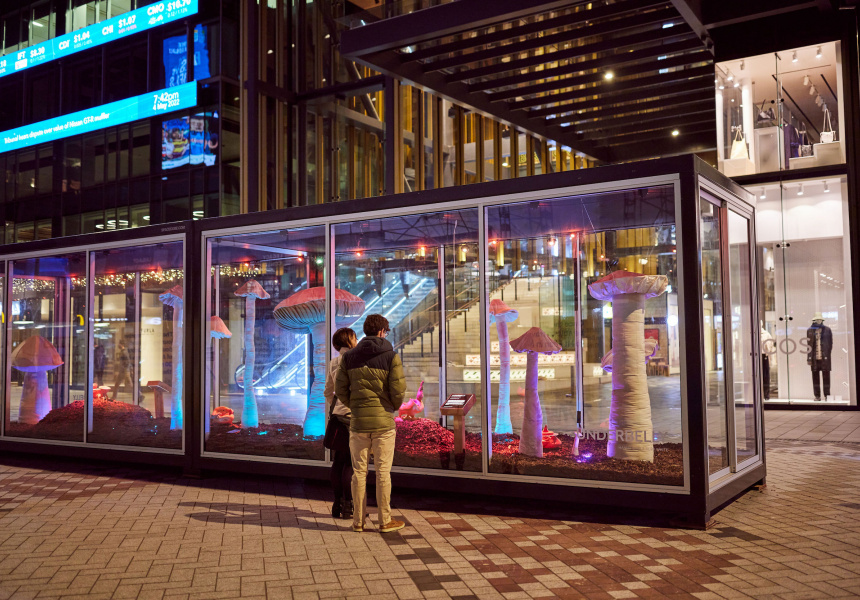 A Large-Scale Exhibition Has Filled Auckland City Centre With Colourful ...