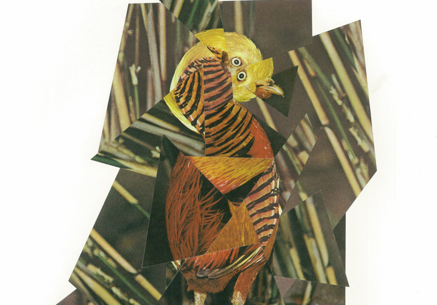 Dear Everybody: From Instagram to Emerging Writers