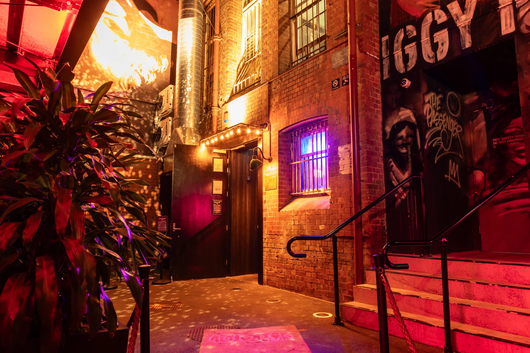 The Alligator Club Is a New Orleans-Inspired Live Music Bar | Broadsheet