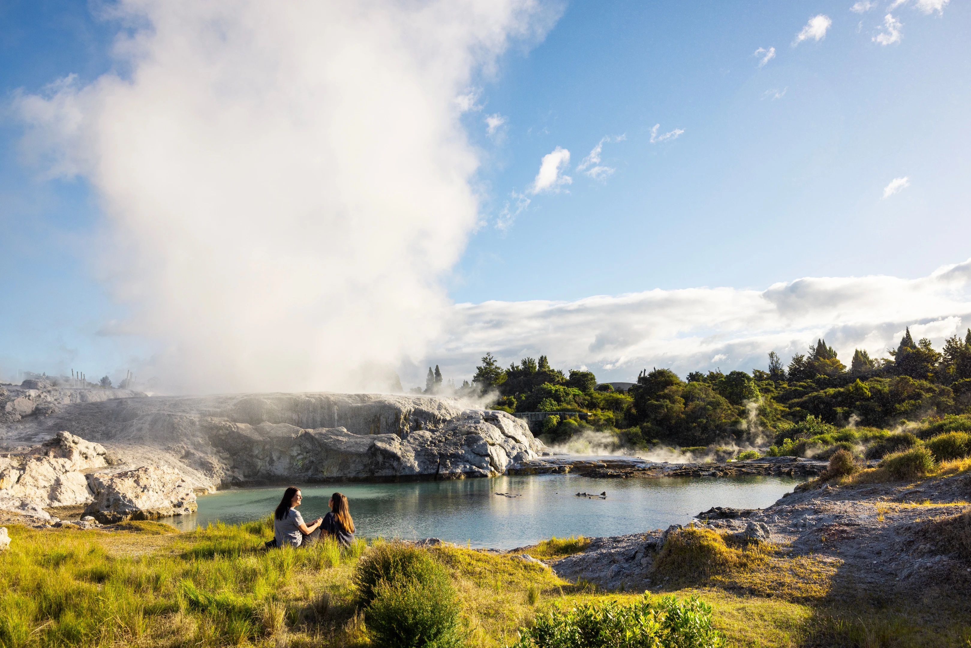 Air New Zealand’s New Year Sale | Broadsheet