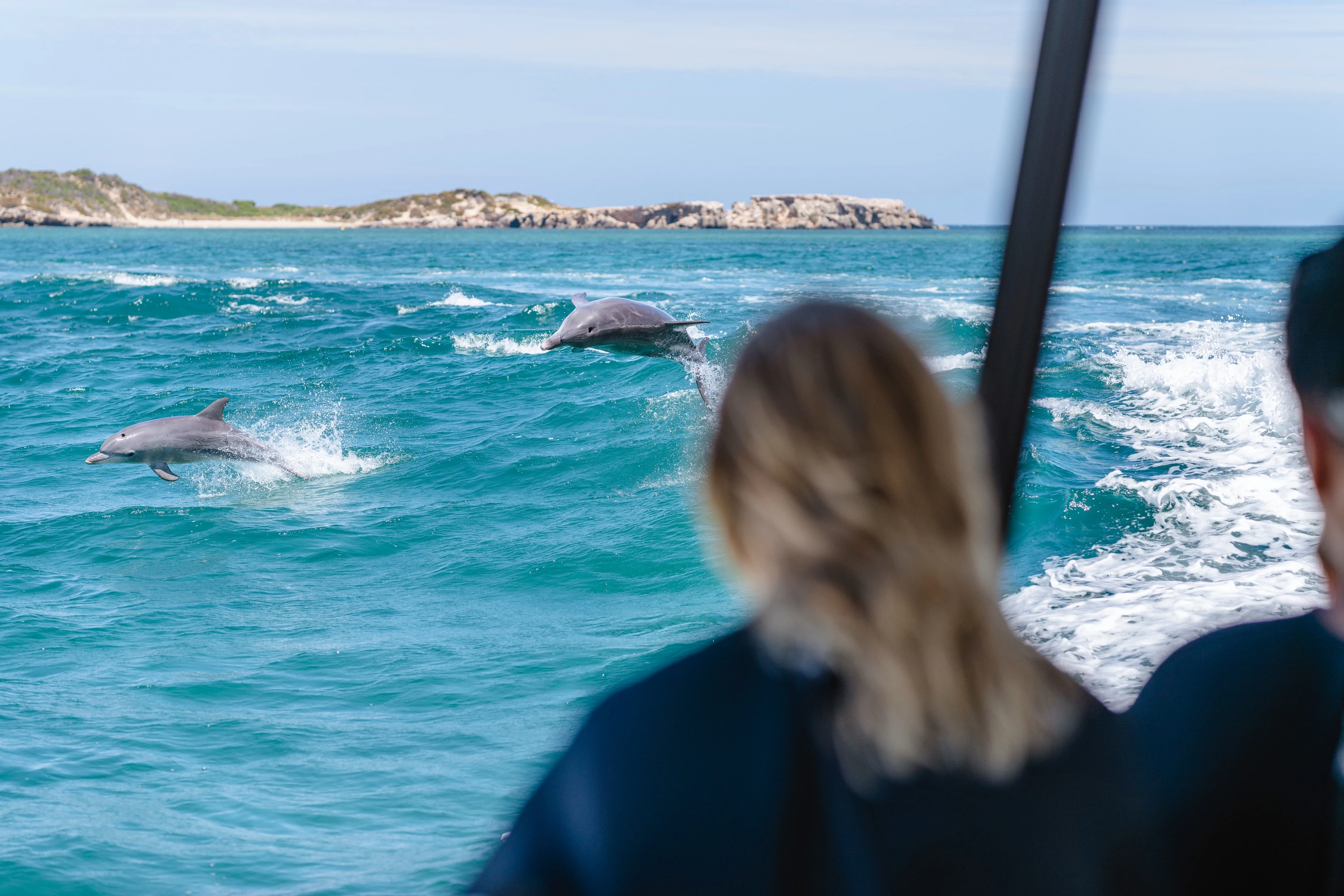 Make the Most of Perth When These Sporting and Cultural Events Hit ...