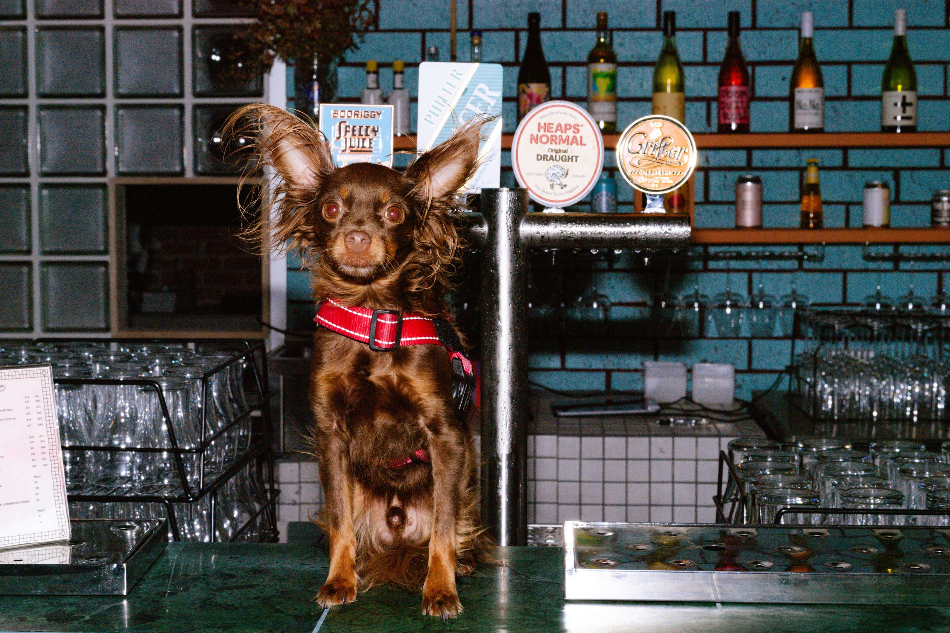 21 New Sydney Restaurants, Bars and Cafes in January 2026 | Broadsheet