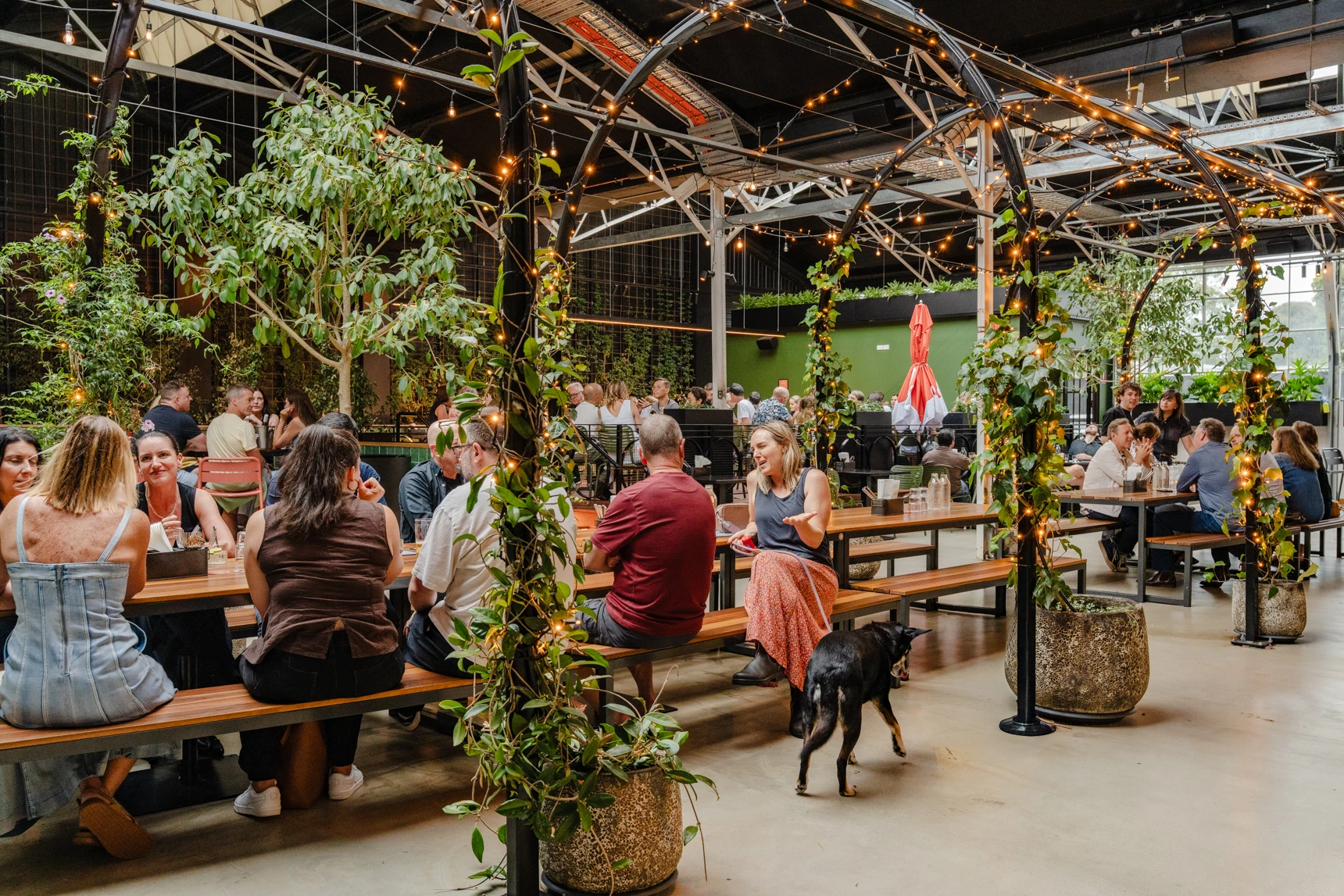 Marameo’s Greek Restaurant Bar Sophia Opens in Glen Iris | Broadsheet
