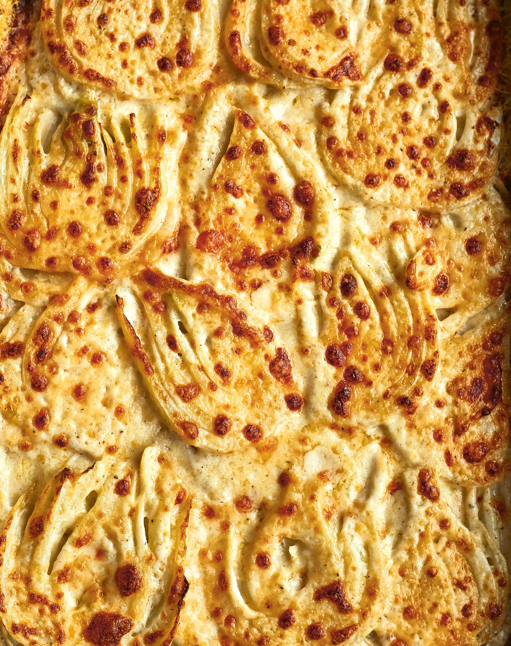 The Ultimate Cheesy, Oven-Baked Fennel Recipe | Broadsheet