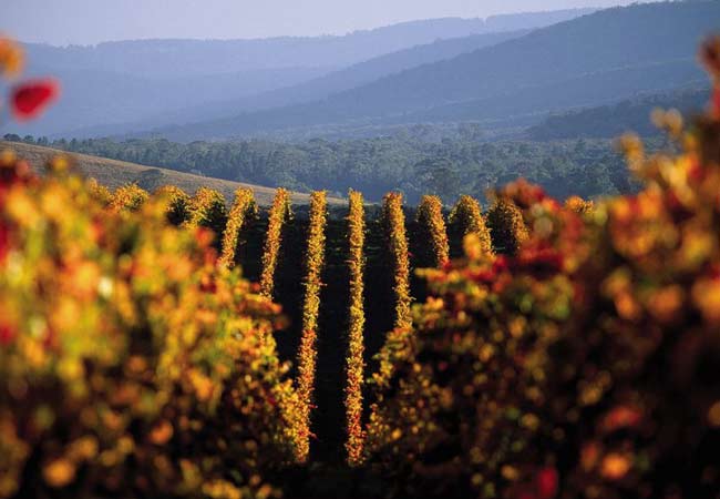 How Best to do Nothing