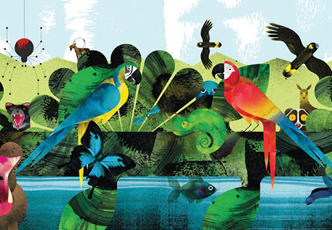 The Curious Explorers Illustrated by Marc Martin