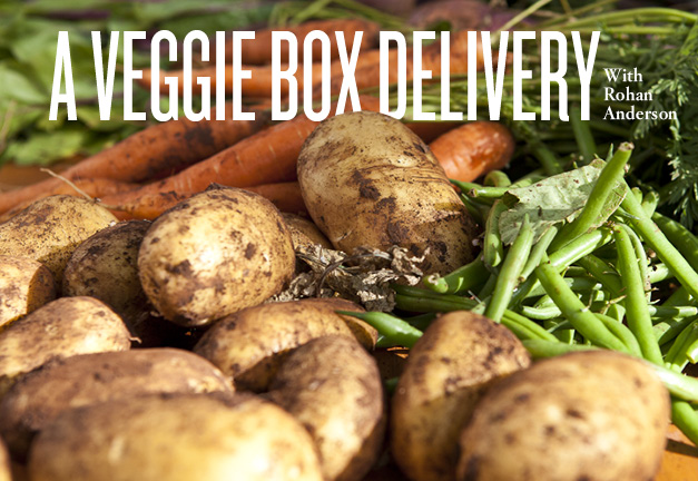 Thinking Inside the Box