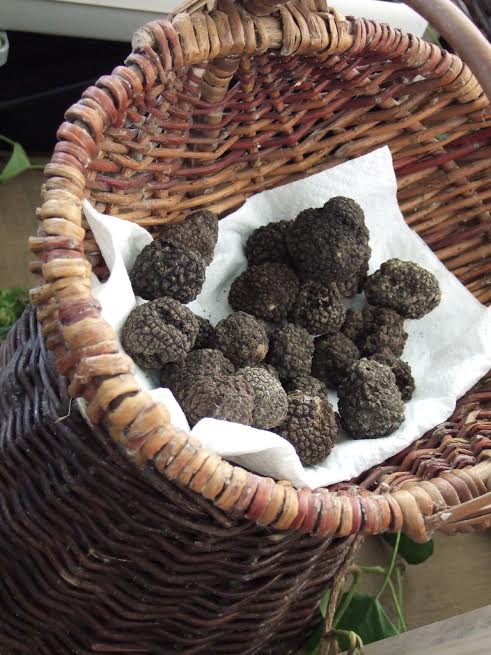 Saint Crispin's Truffle Dinner