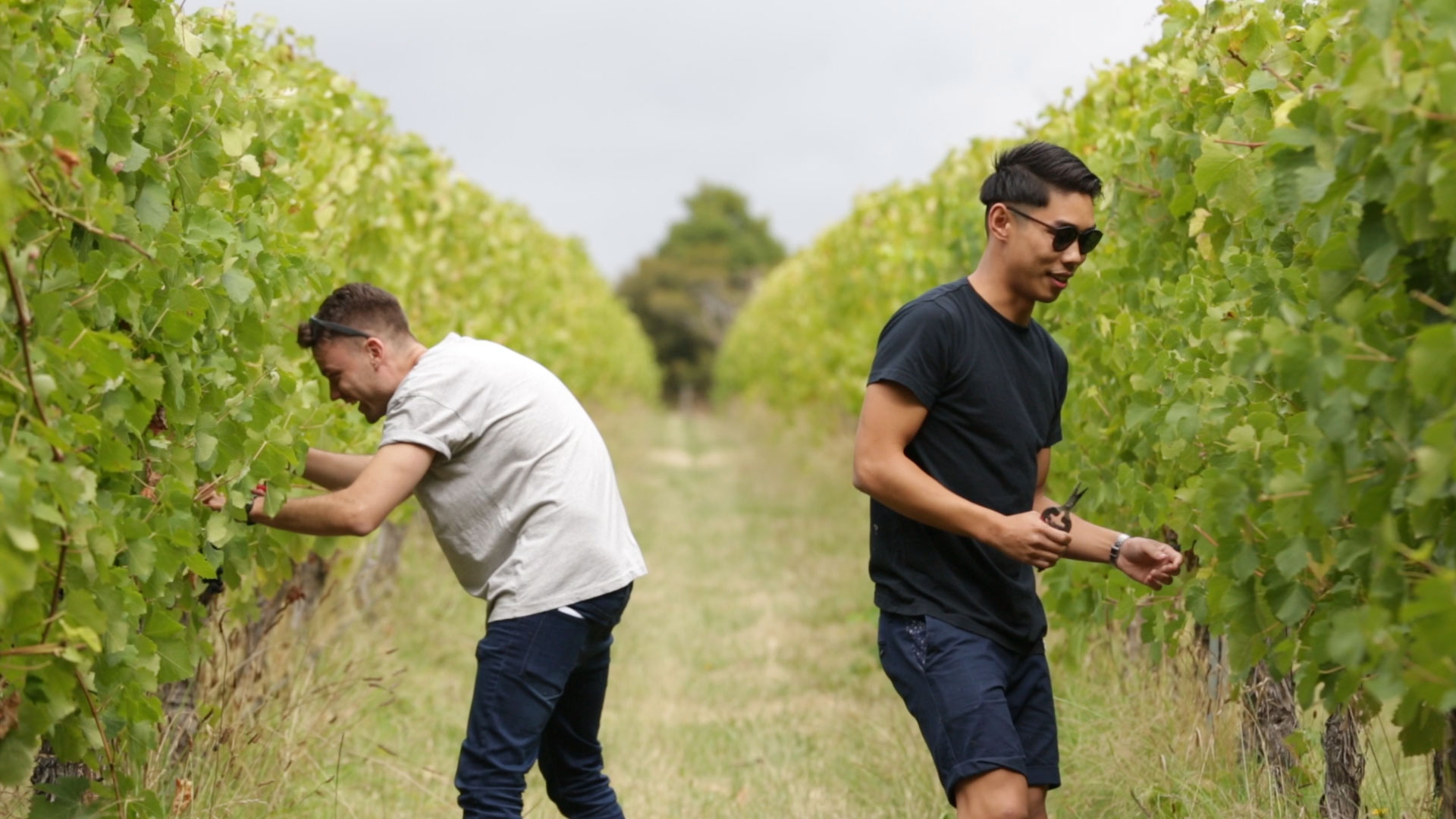 A Fiery Initiation into Winemaking