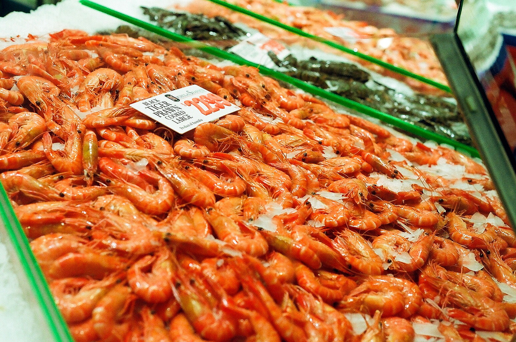 As Child Labour Scandals Rock Supermarket Prawn Supplies, How Can We ...