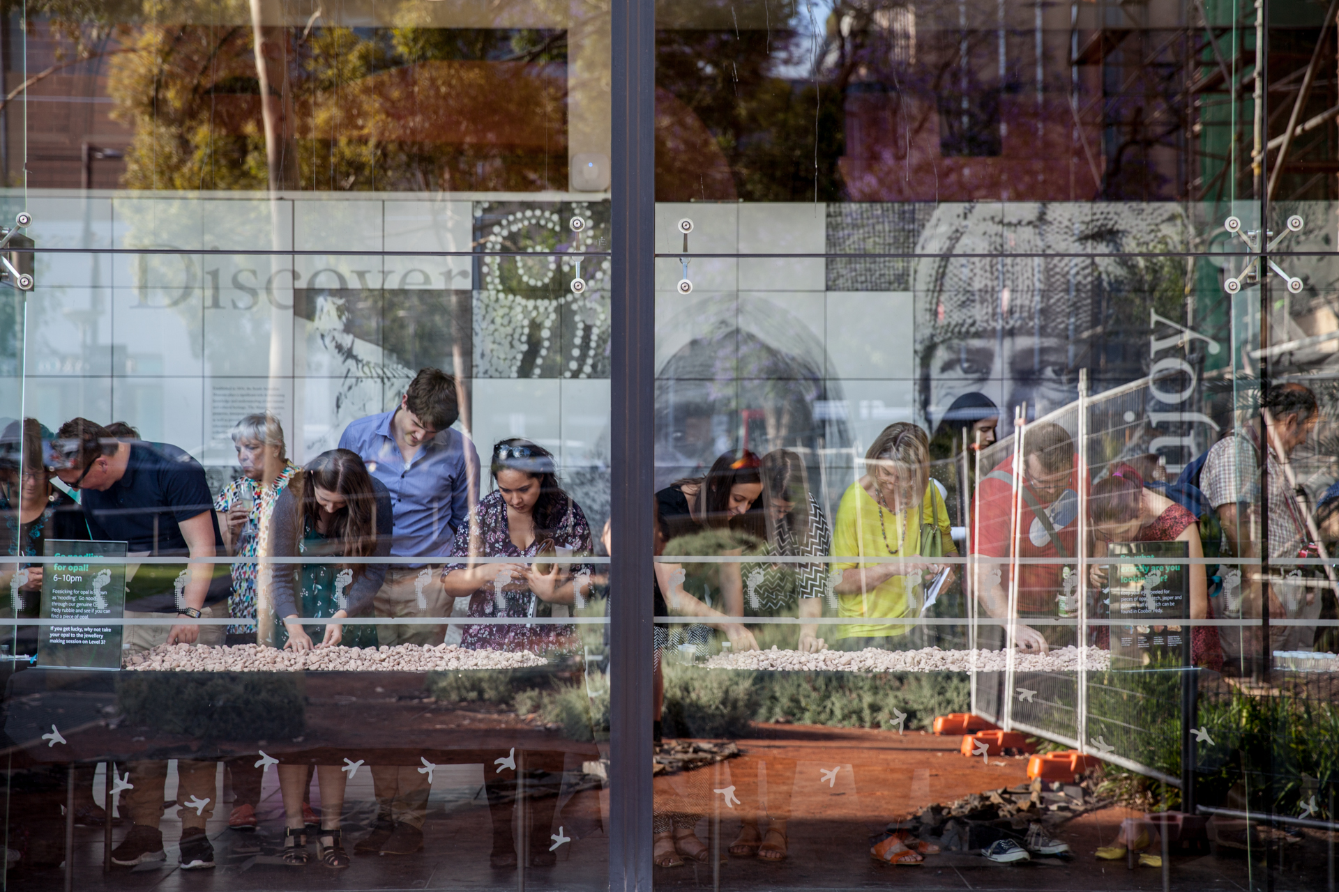A Night of Insect Eating at SA Museum