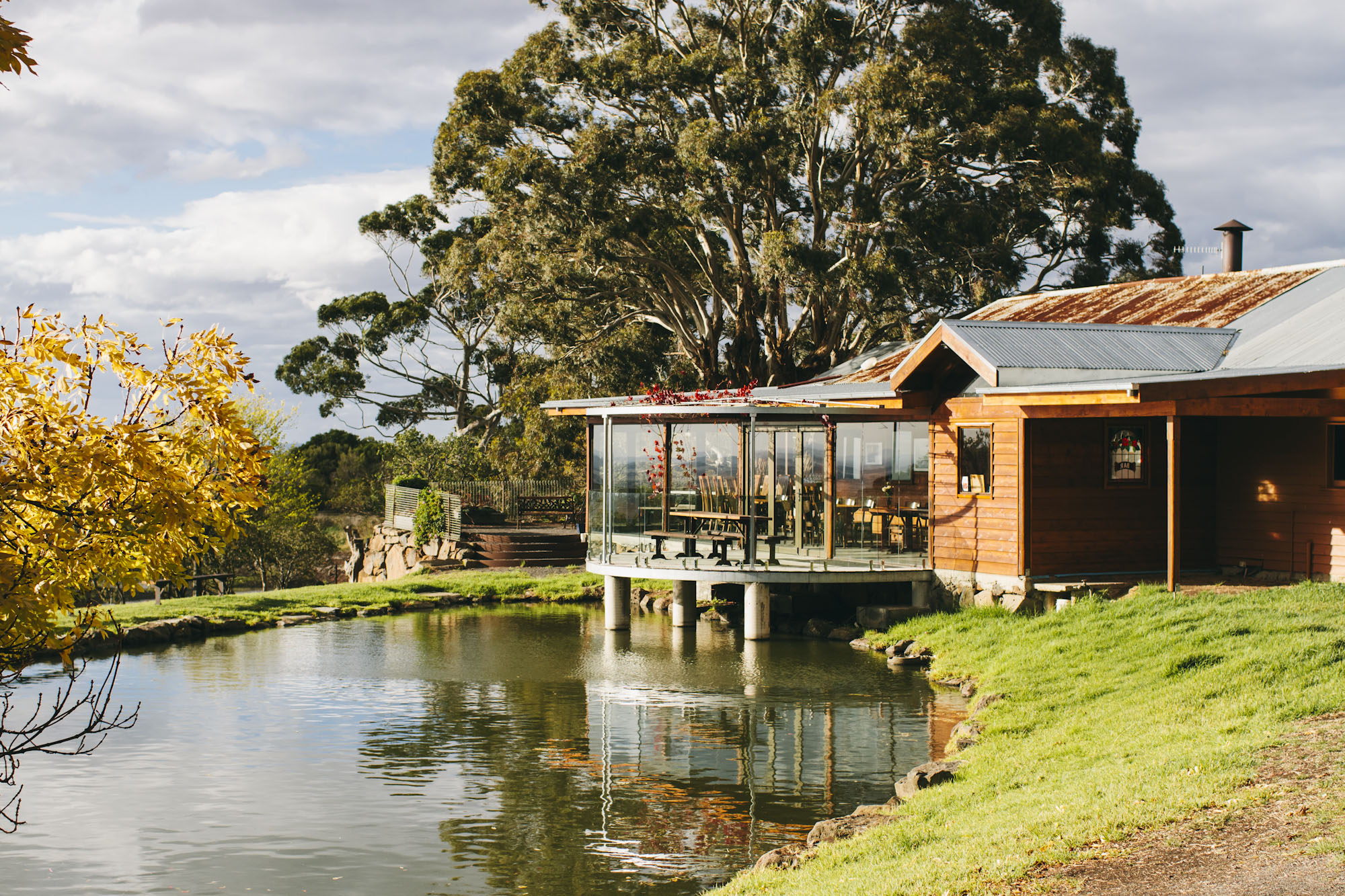 The Treasure of Trout Farming
