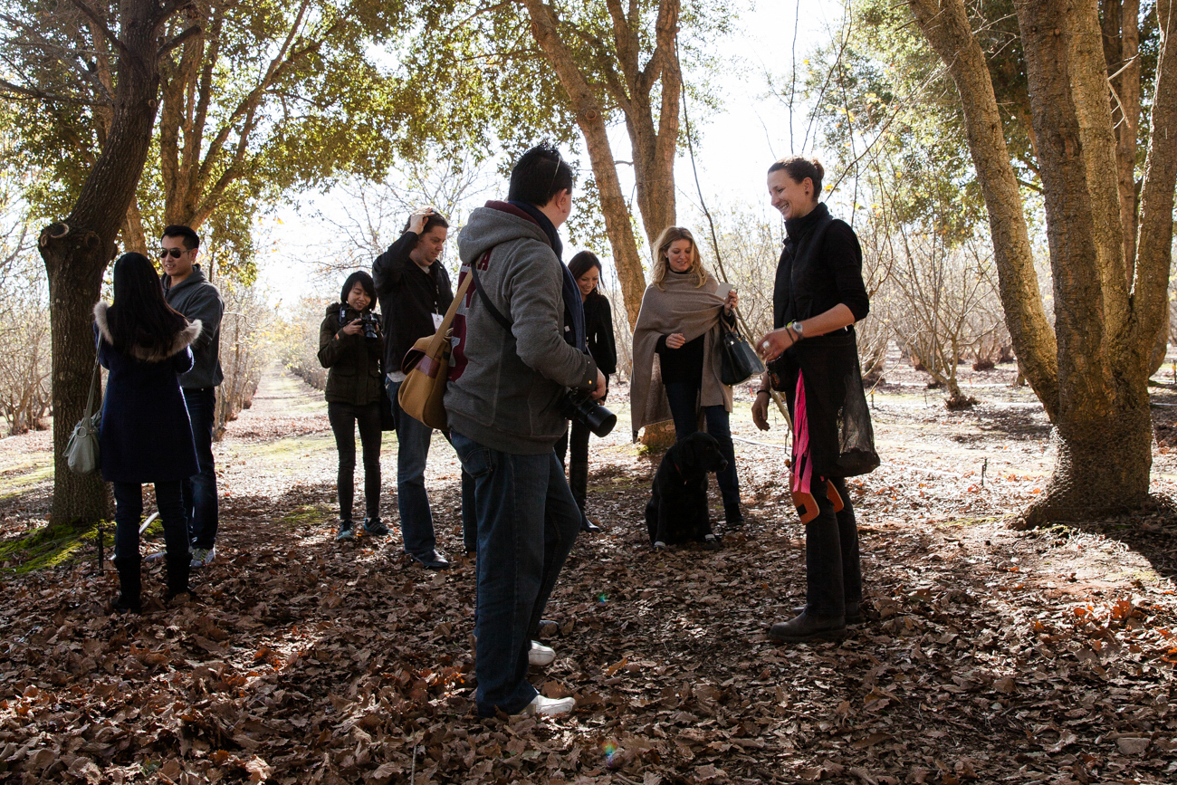 What To Do at Truffle Kerfuffle