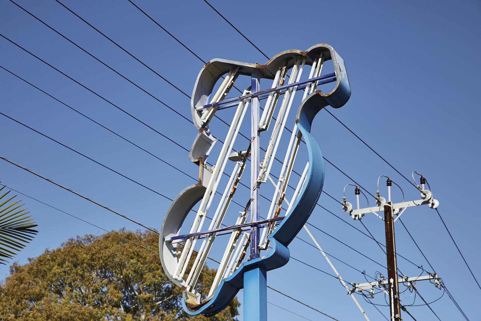 Coming Soon: Chicco Palms