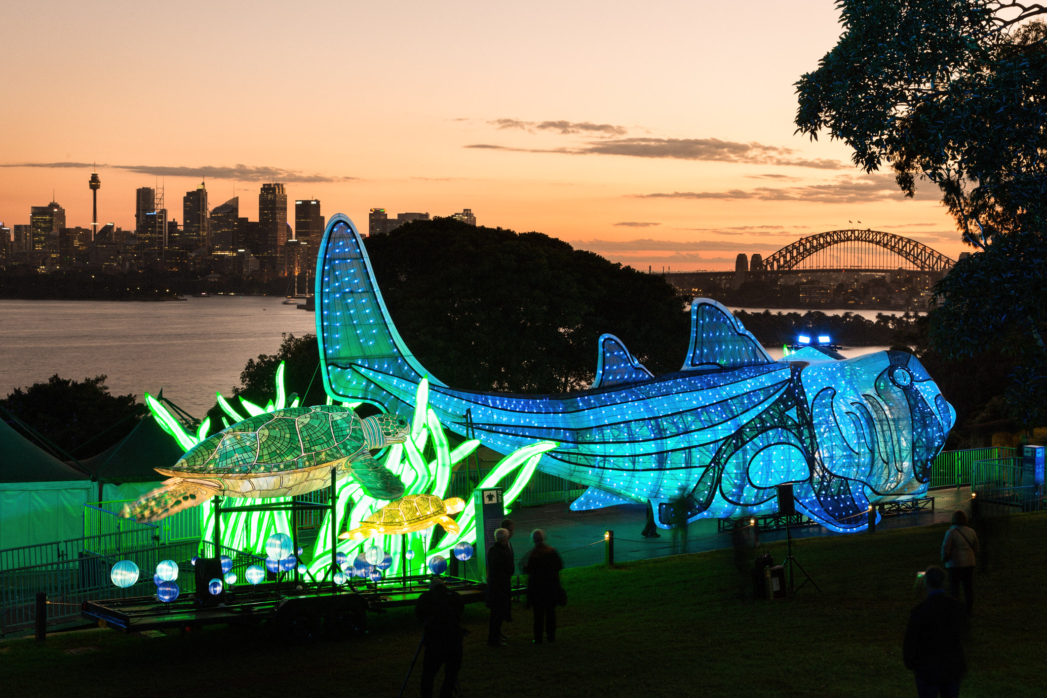 First Look: Vivid Lights at Taronga Zoo