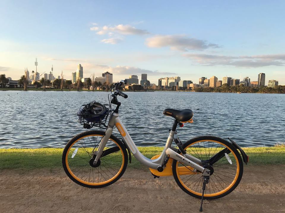 Training Wheels Almost Off for oBike