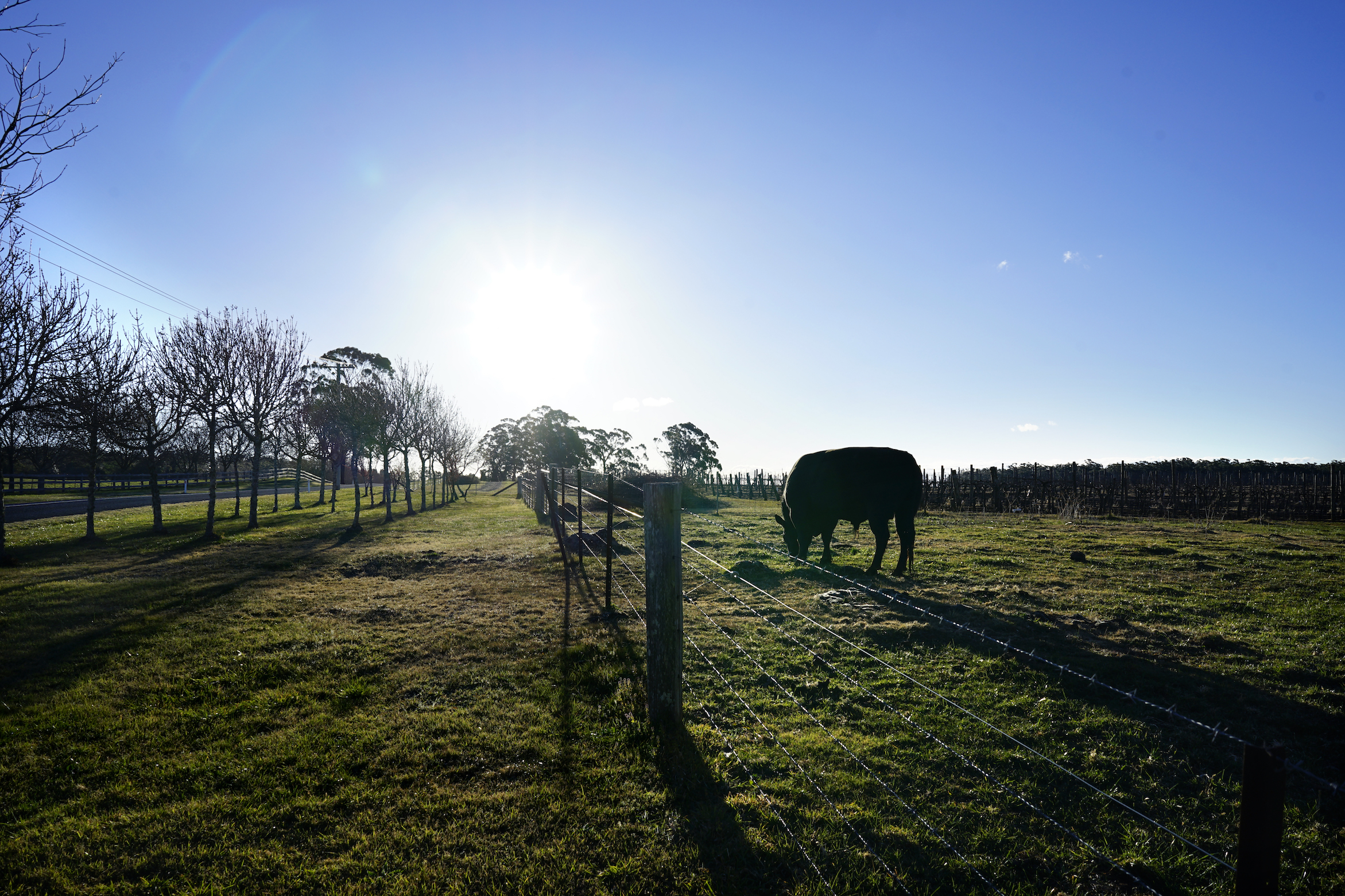 Ultimate Weekend: Adventure Trail to Bowral