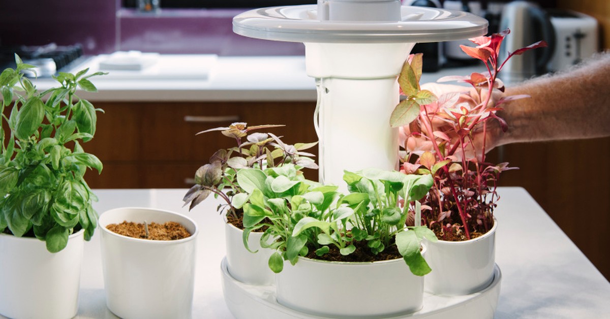 A New Invention Grows Plants on Your Bench | Broadsheet | Broadsheet