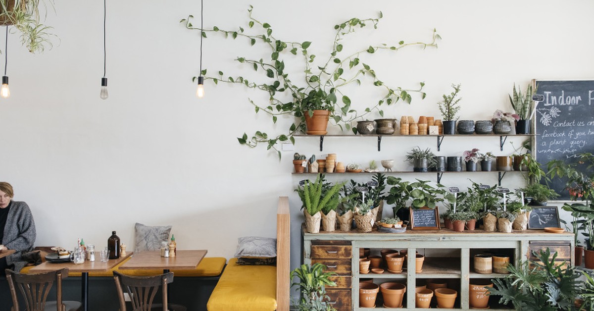 Now Open: A 100 Per Cent Plant-Based Cafe in the West