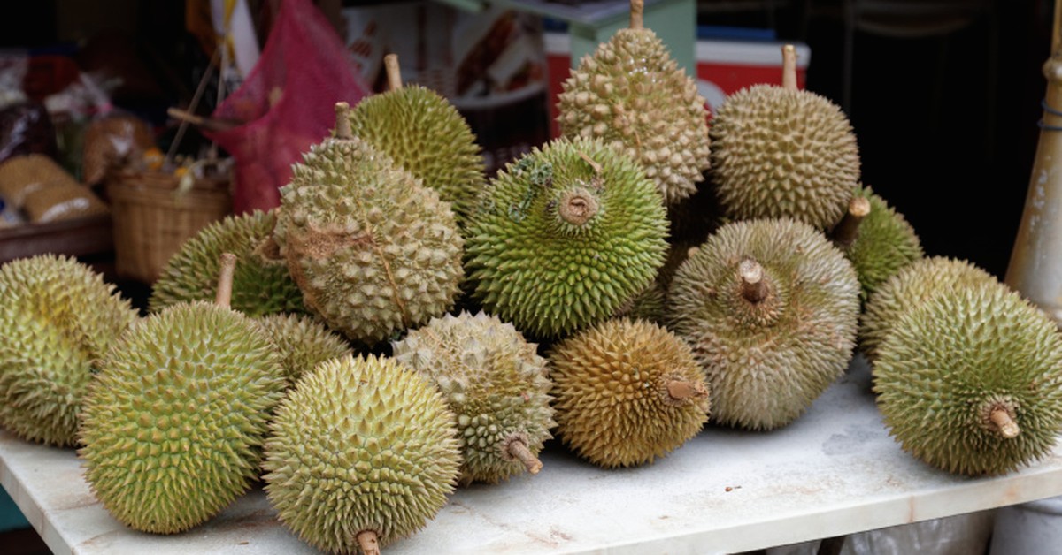 Durian Forces Evacuation at RMIT Library