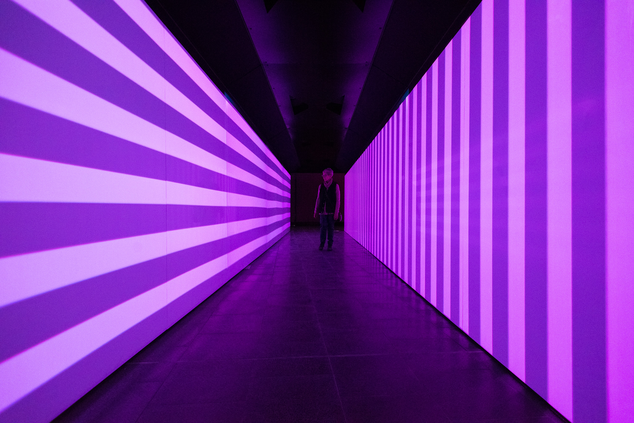 Inside Adelaide’s Futuristic Museum of Discovery
