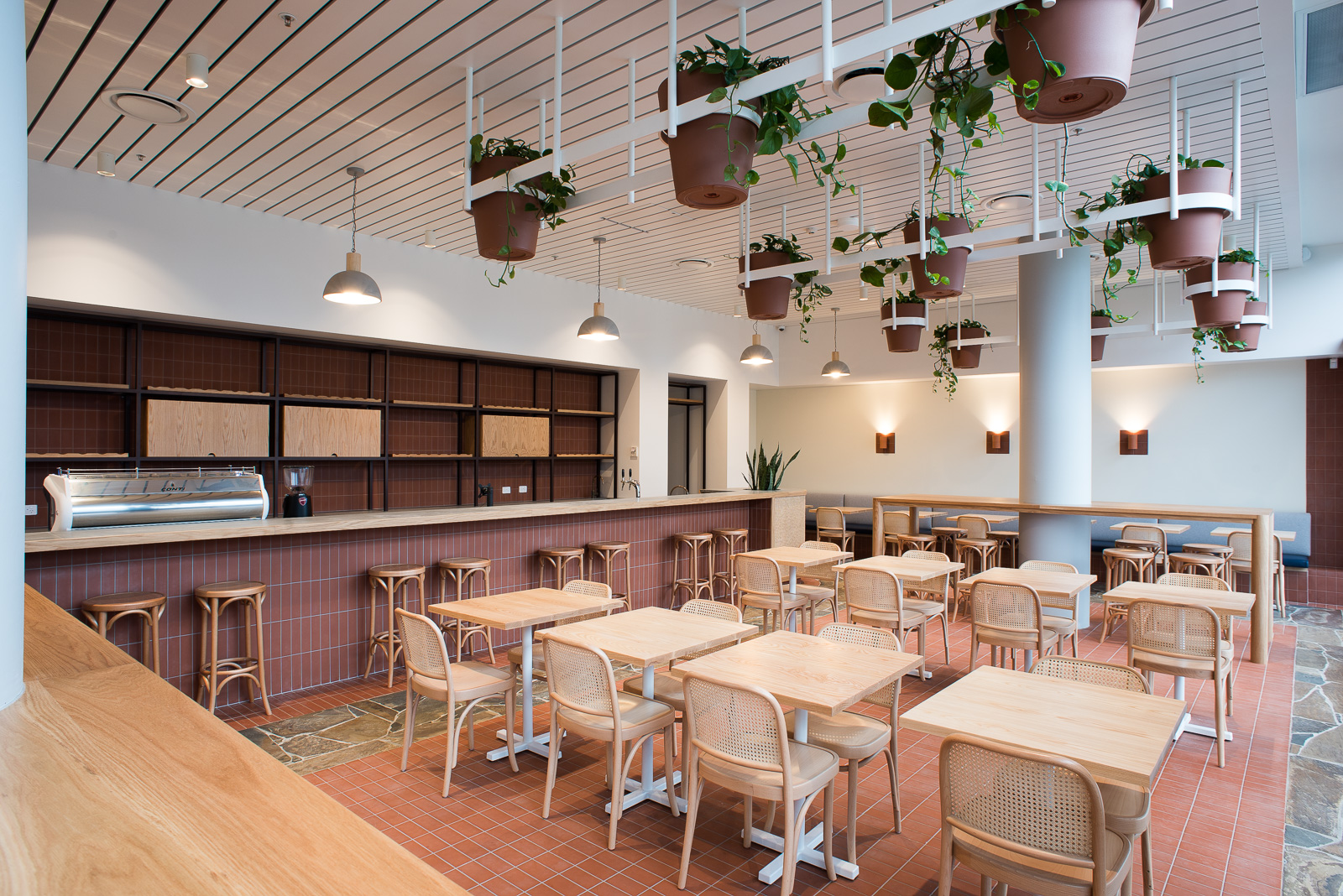 First Look: Arbour Arrives on Wright Street