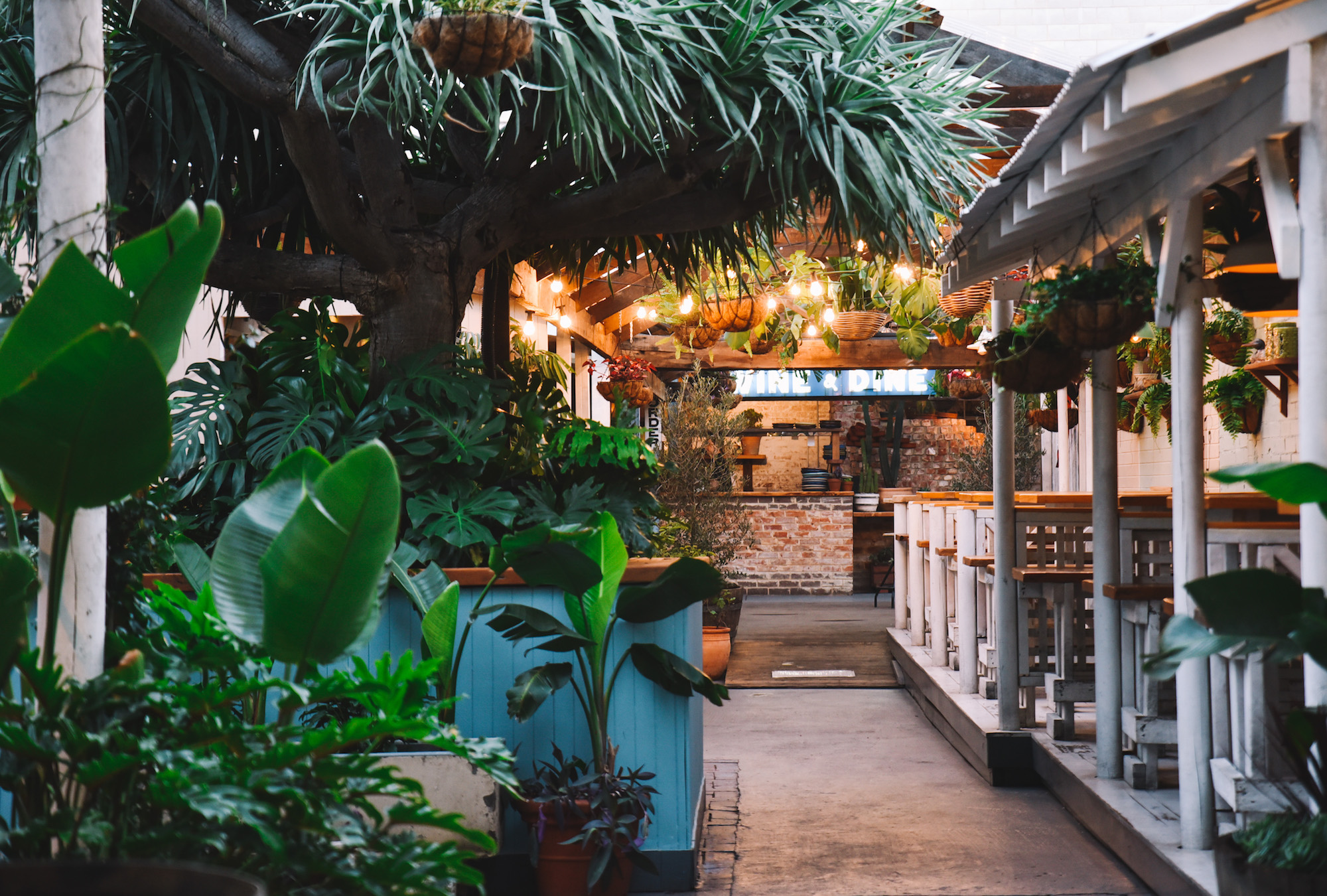 A Winter Makeover For Roxie’s