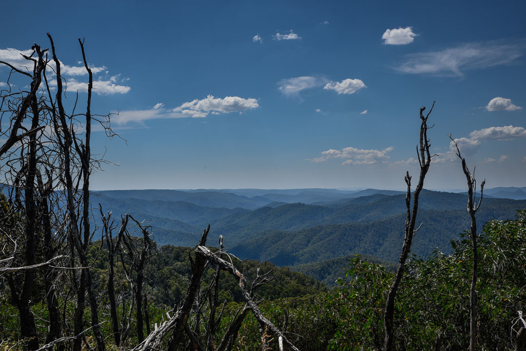 Victoria’s High Country Trips Worth Planning For