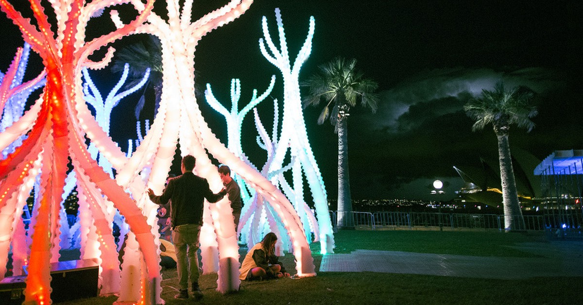 The Visitors Guide to Vivid