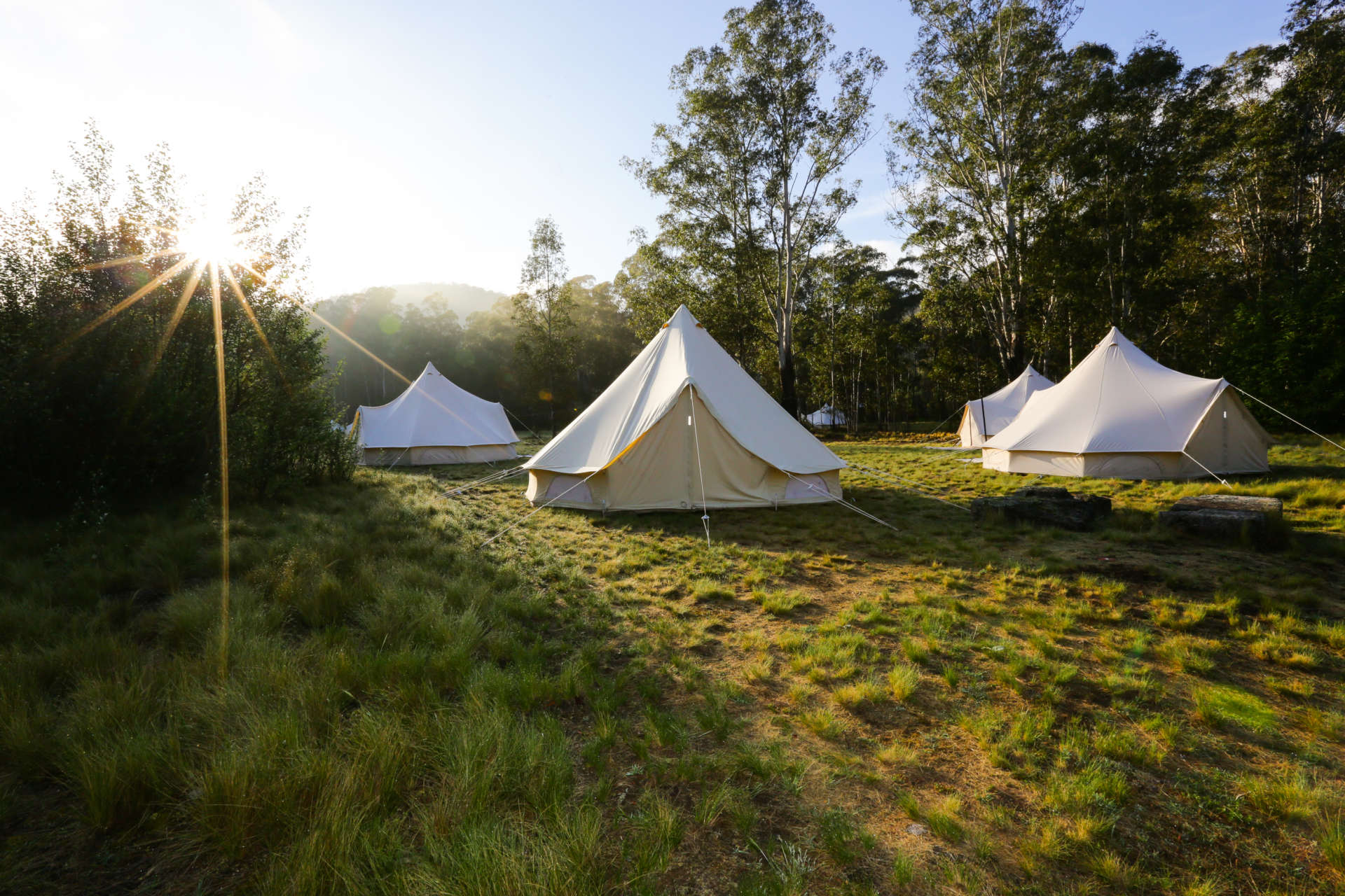 Get Back to Nature in NSW’s Southern Highlands With a Festival That ...
