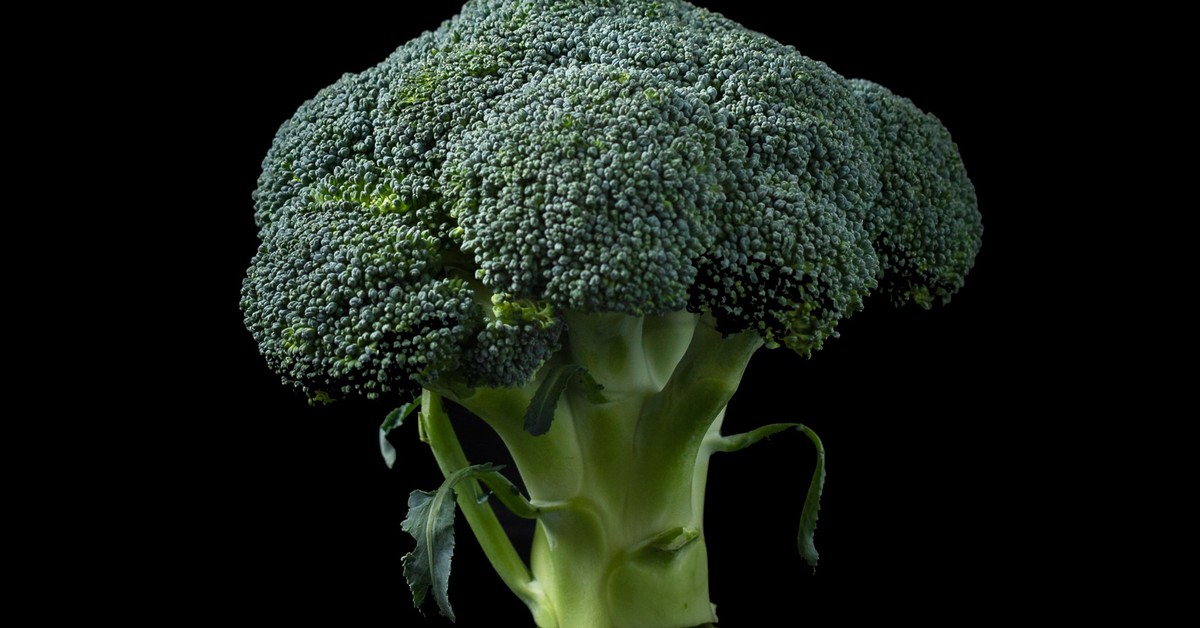 Steamed Broccoli: A Love Letter